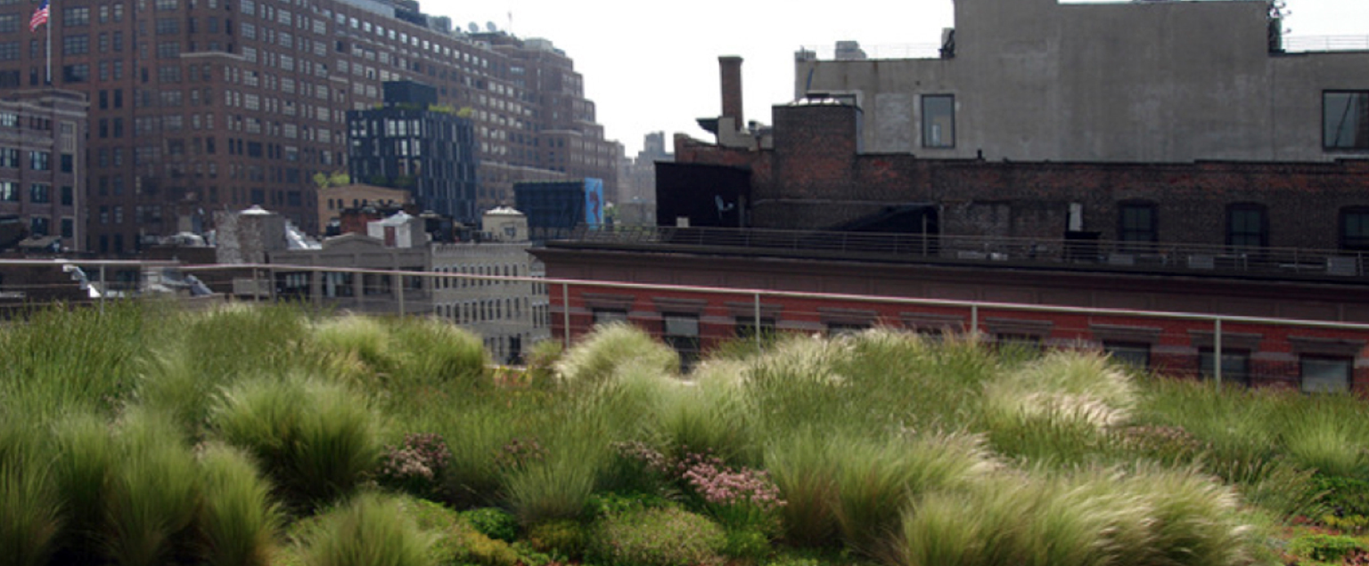 LOUIS BENECH, LES MILLE ET UN DÉTOURS DU JARDIN – lefondelair